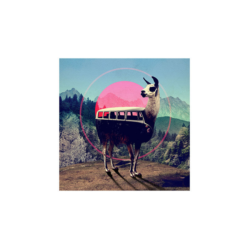 Llama Van Art Print Ali Gulec