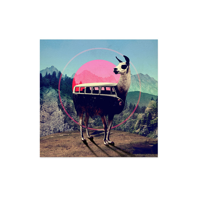 Llama Van Art Print Ali Gulec