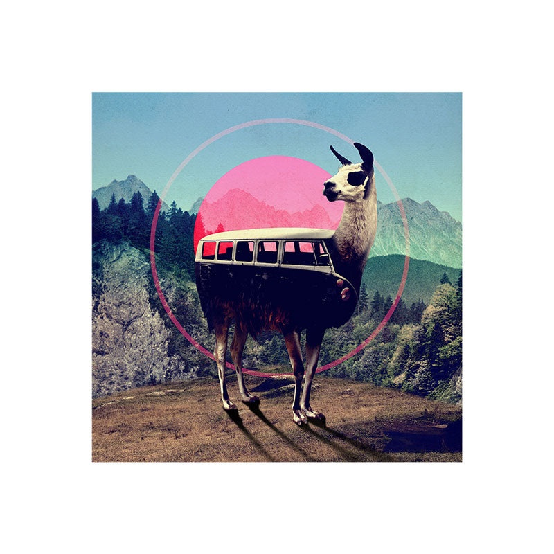 Llama Van Art Print Ali Gulec