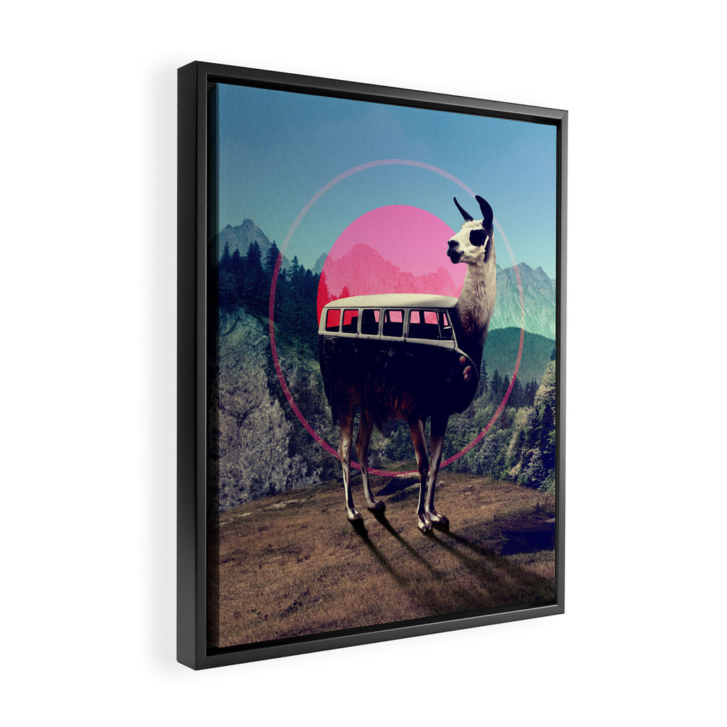 Llama Van Art Canvas Ali Gulec