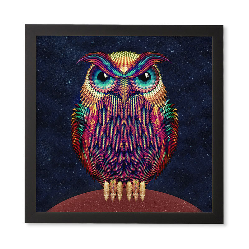 Owl 2 Framed Wall Art Ali Gulec