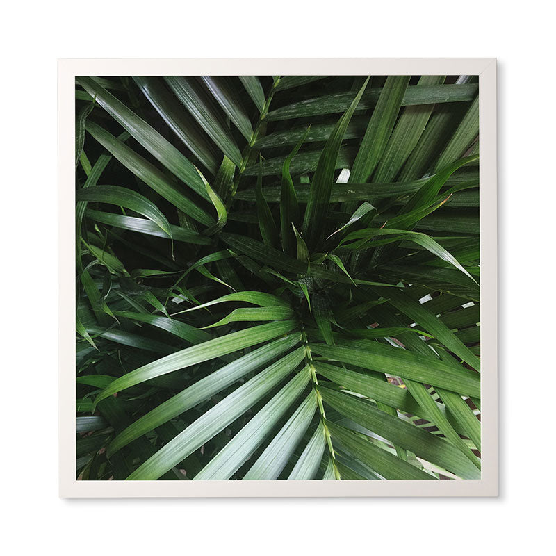 Jungle Vibes Framed Wall Art Chelsea Victoria