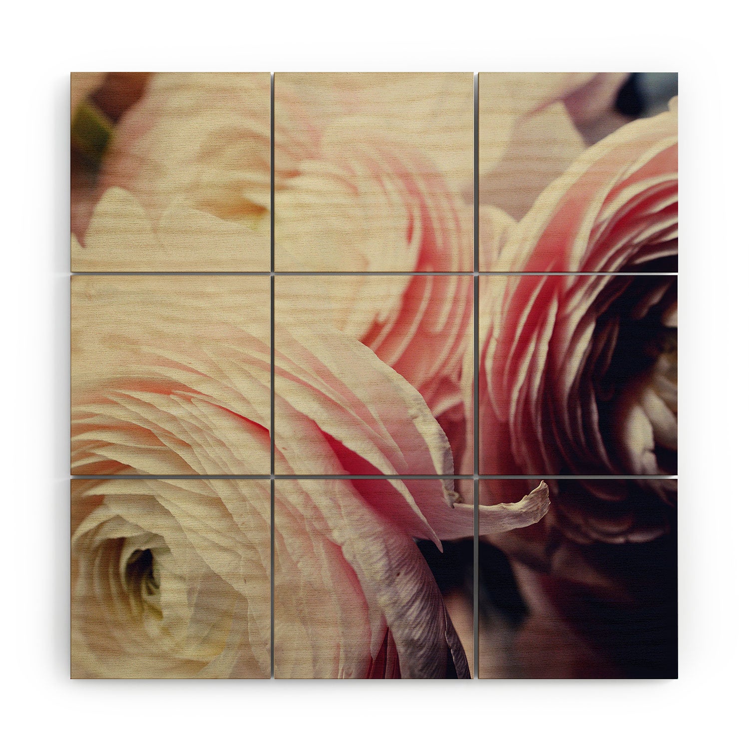 Ranunculus Pop Wood Wall Mural Chelsea Victoria