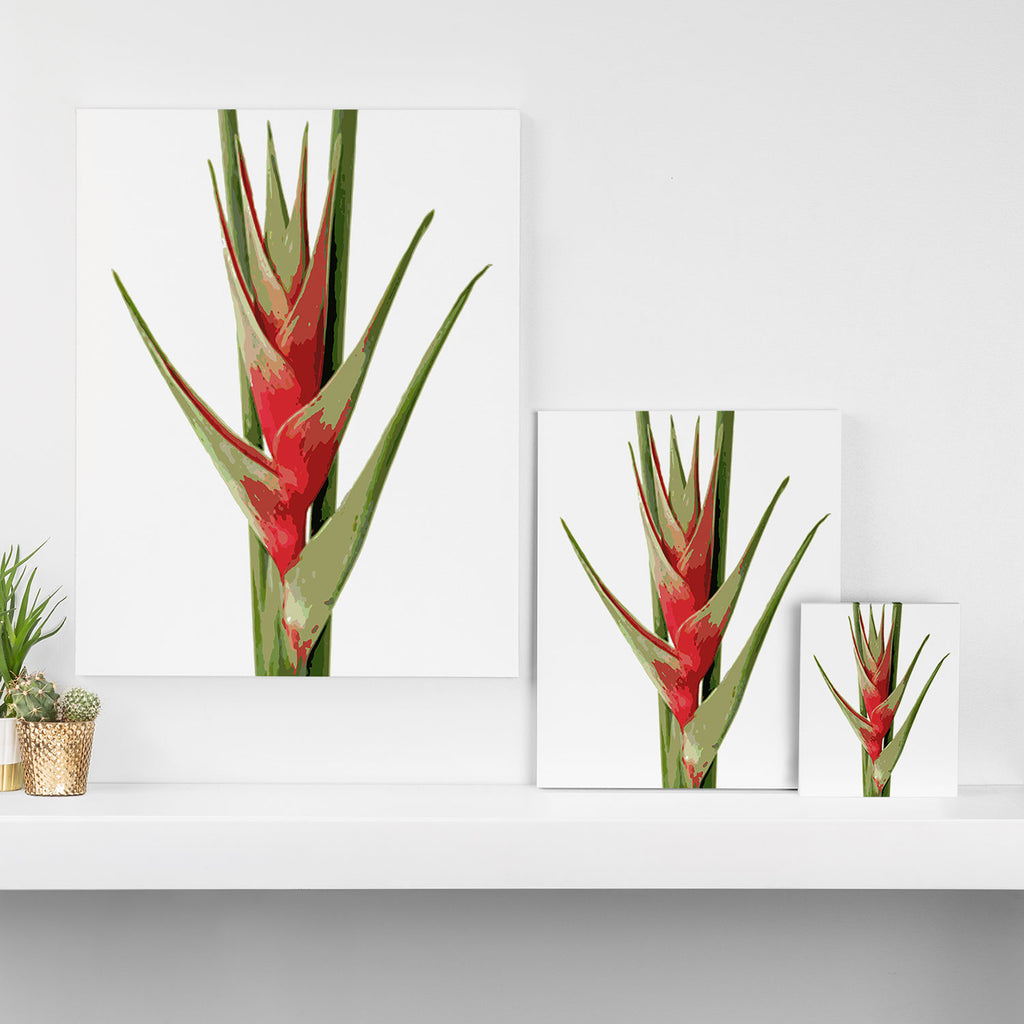 Heliconia 2 Art Canvas Deb Haugen