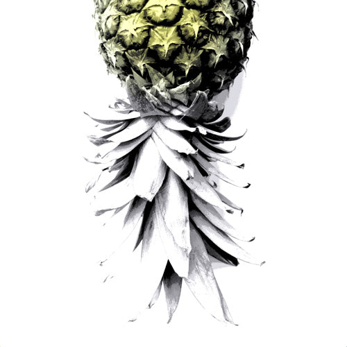 Pineapple 1 Shower Curtain Deb Haugen