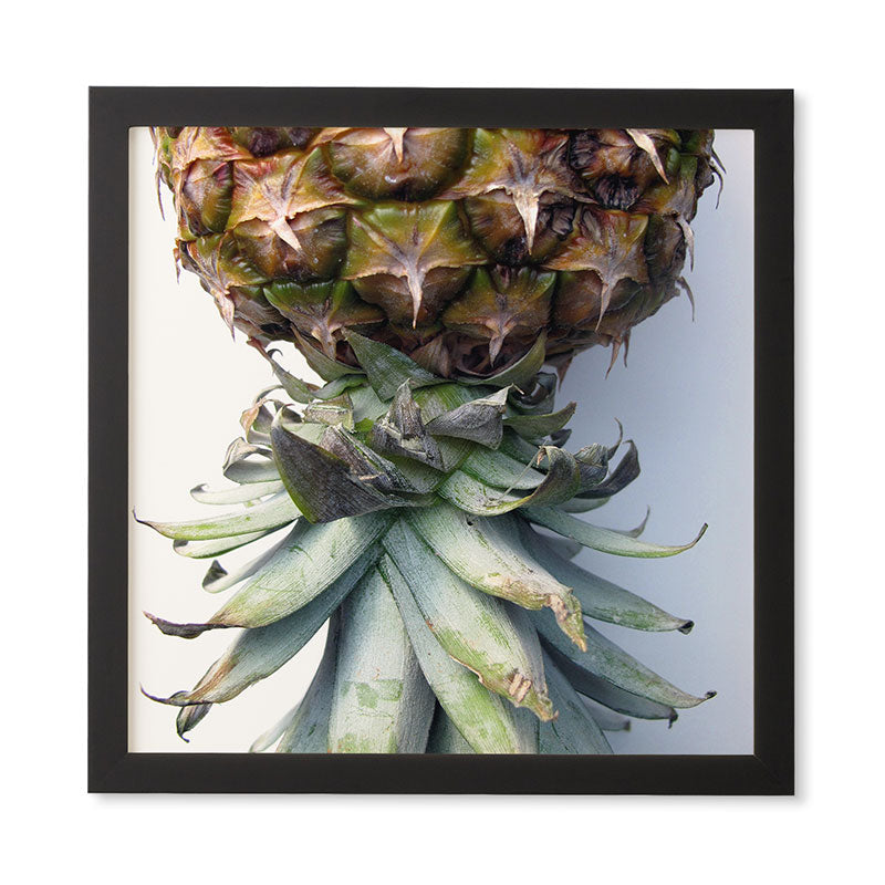 Pineapple 2 Framed Wall Art Deb Haugen