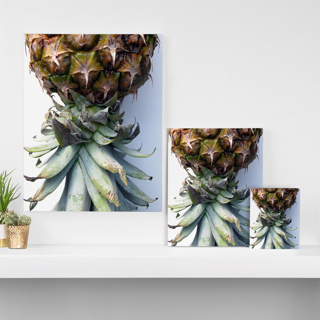 Pineapple 2 Art Canvas Deb Haugen