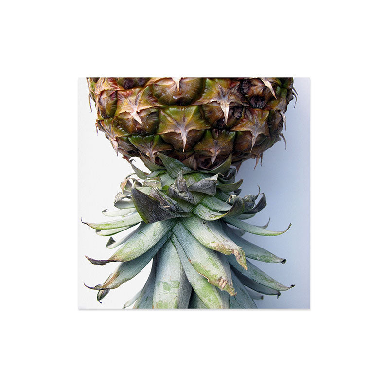 Pineapple 2 Art Print Deb Haugen