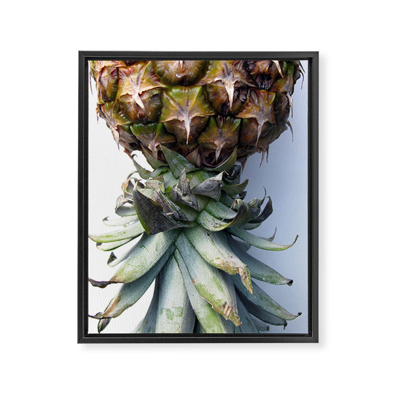 Pineapple 2 Art Canvas Deb Haugen
