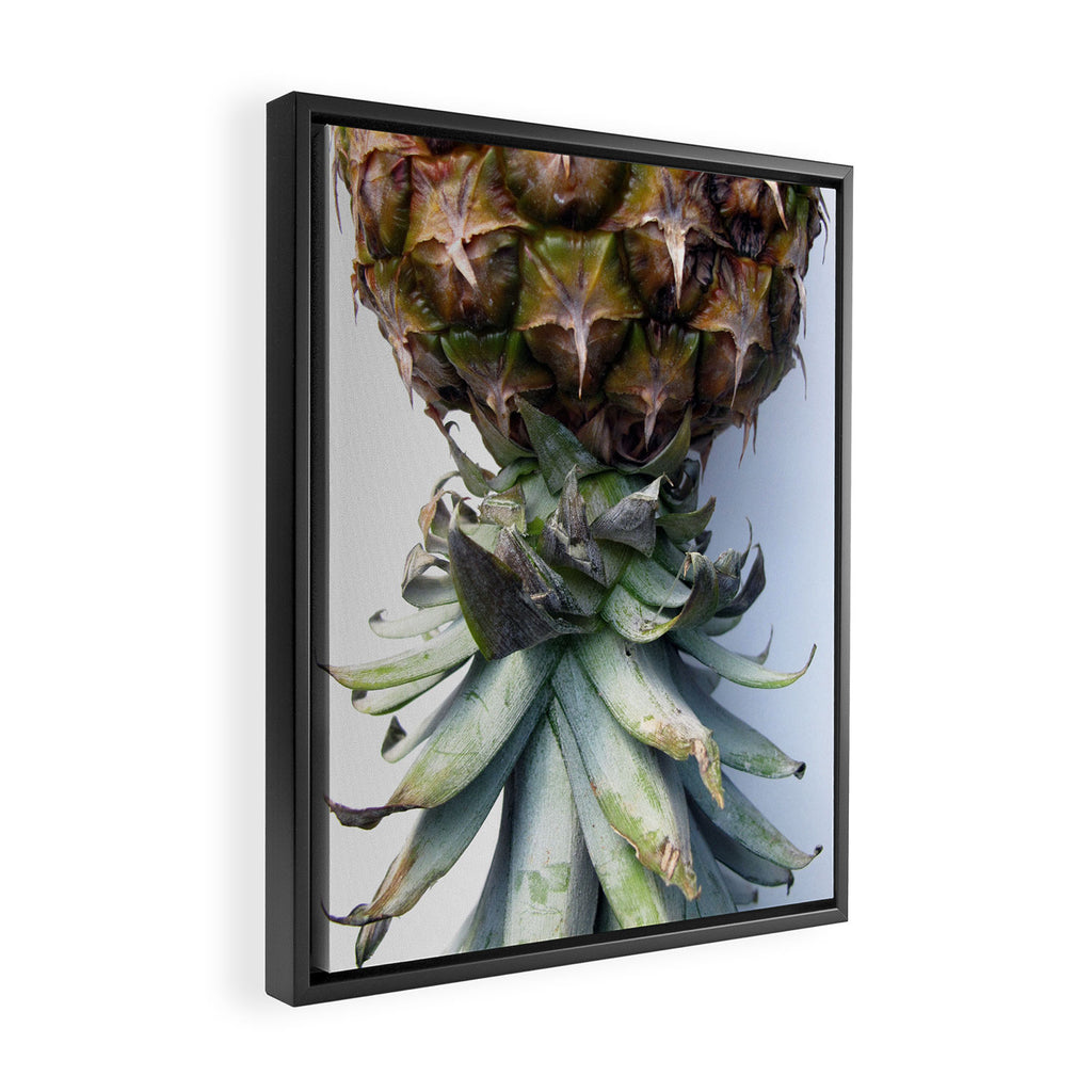 Pineapple 2 Art Canvas Deb Haugen