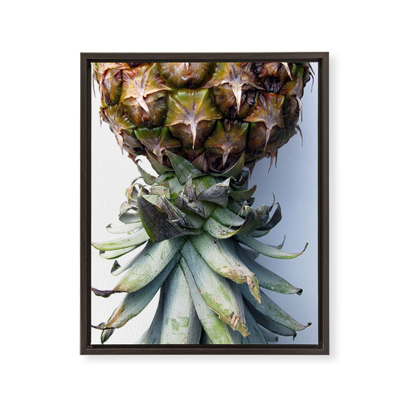 Pineapple 2 Art Canvas Deb Haugen