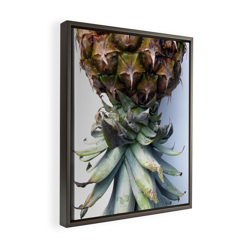 Pineapple 2 Art Canvas Deb Haugen