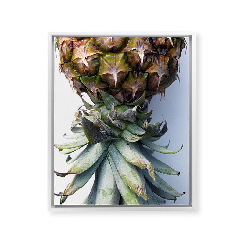 Pineapple 2 Art Canvas Deb Haugen