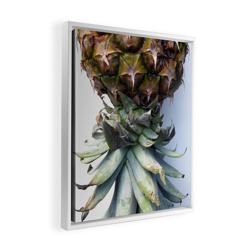Pineapple 2 Art Canvas Deb Haugen
