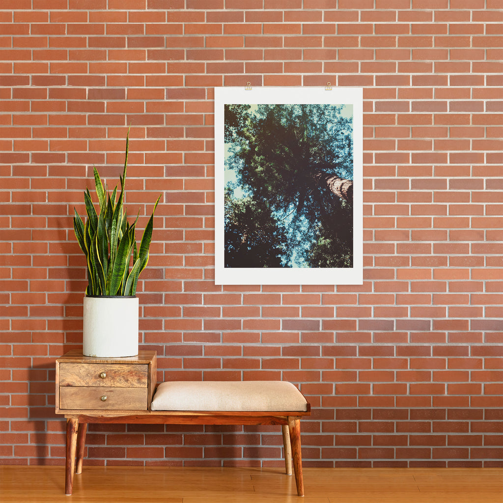 Treetops Art Print Leah Flores