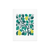 Pear Tree Art Print Lucie Rice