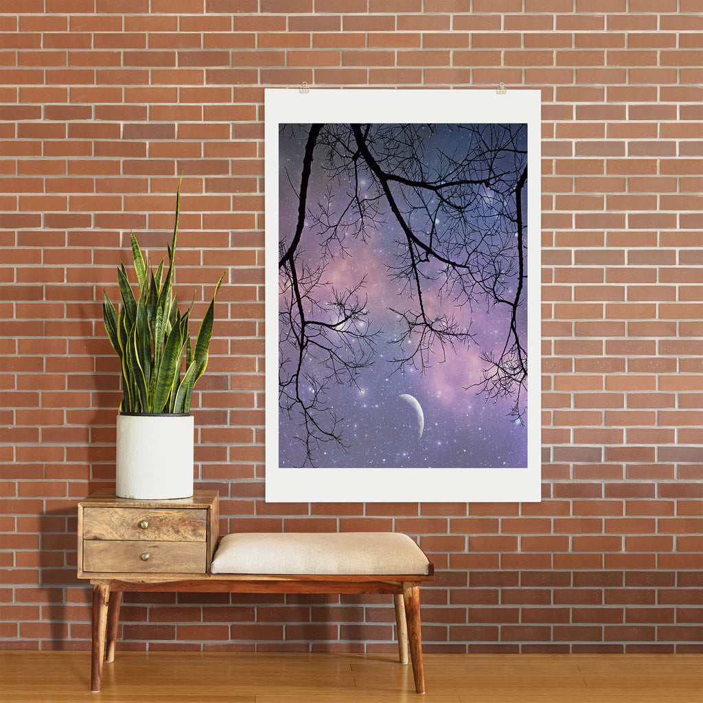 Twinkle Twinkle Art Print Shannon Clark