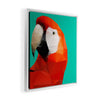 Parrot Red Art Canvas Three Of The Possessed